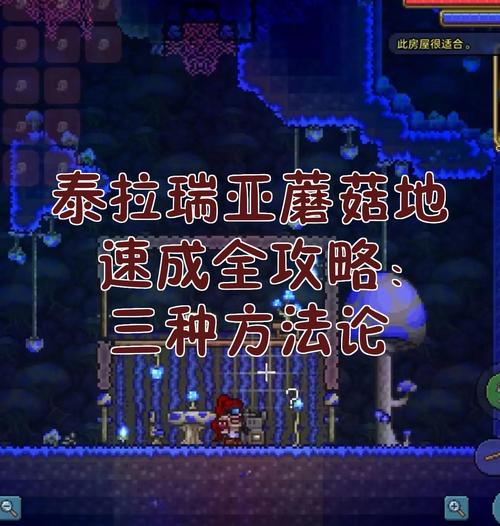 蘑菇隐藏4秒跳转路线如何百度图标