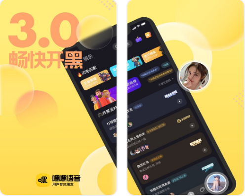 嘿嘿语音怎么免费冲钻图标
