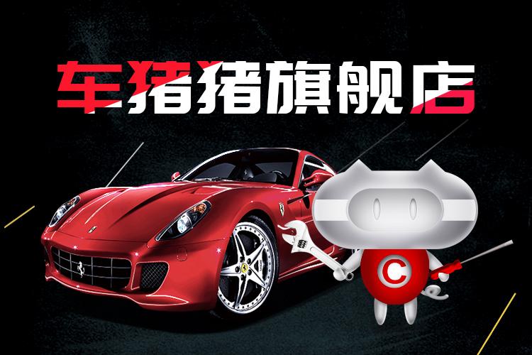 车猪猪是什么截图