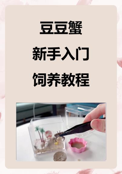 螃蟹喂养的正确方法图标