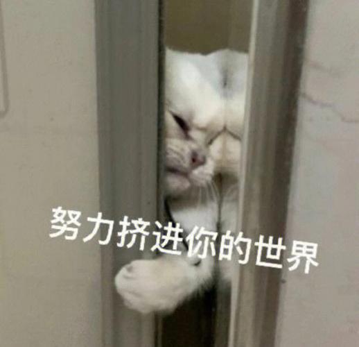世界表情包图标