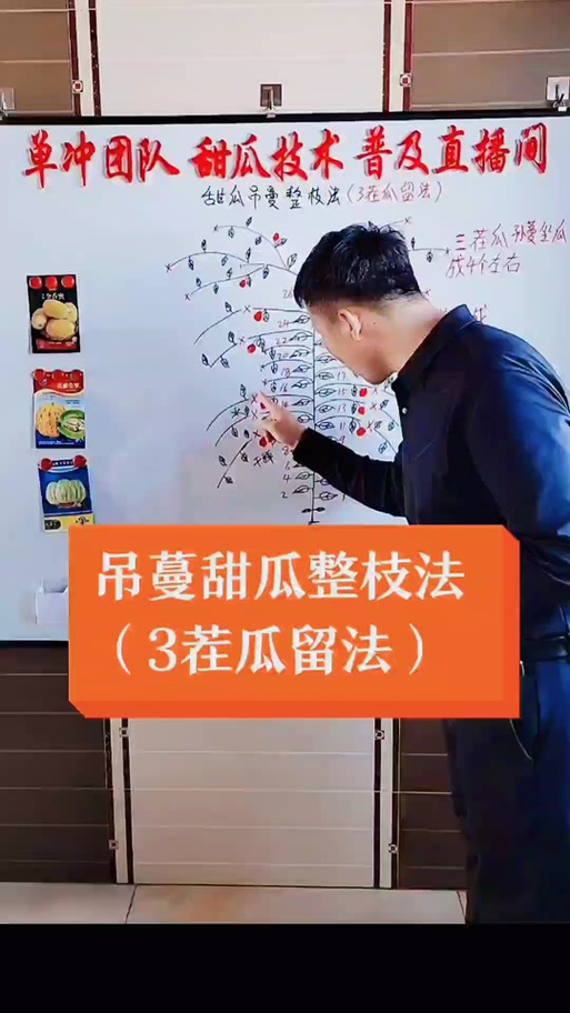 甜瓜32.5(内置菜单)截图
