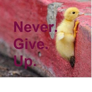 give up图标