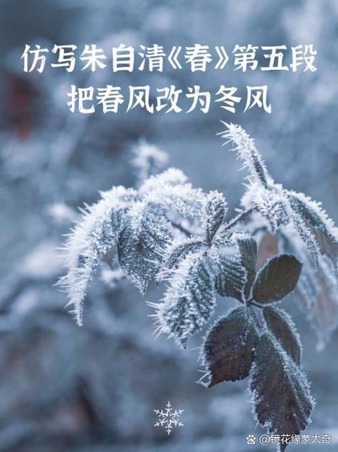 写出了春风怎样的特点截图