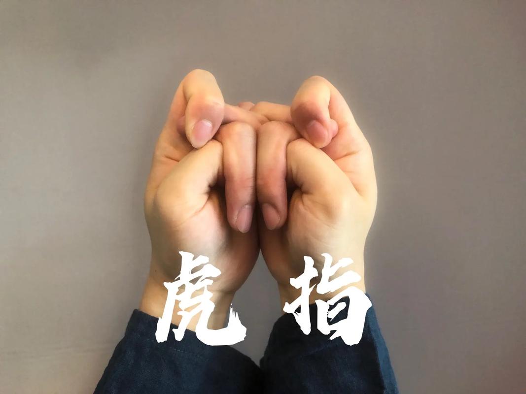 棒子老虎鸡手势怎么摆截图
