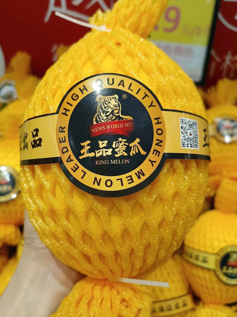 海南王品公司王品蜜瓜订购怎么联系