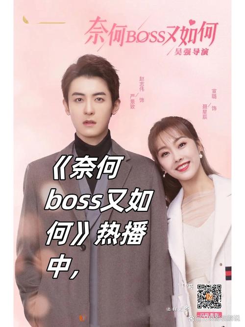 奈何boss又如何番外缩略图