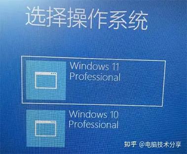CF支持win11吗图标