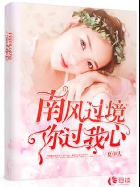 小说《南风过境》图标