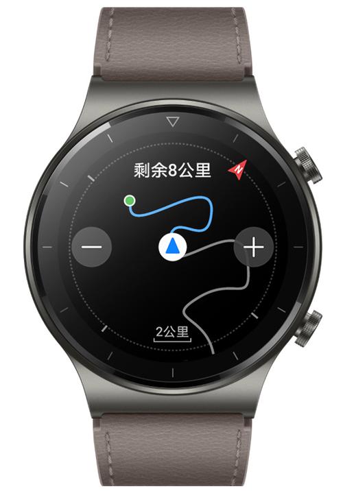 华为gt 2 pro图标