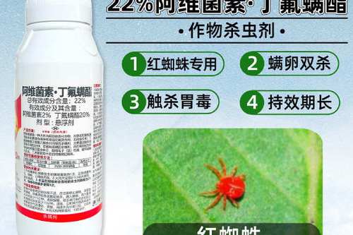 杀红蜘蛛药第一名图标