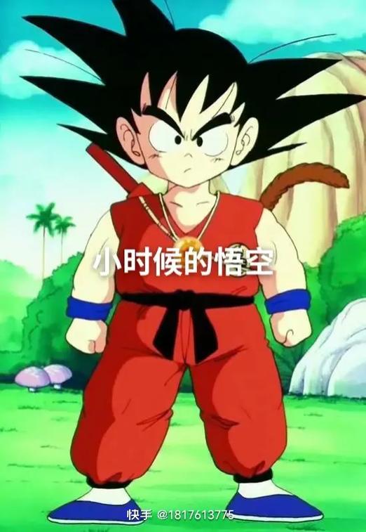 龙珠孙悟空的所有形态图标