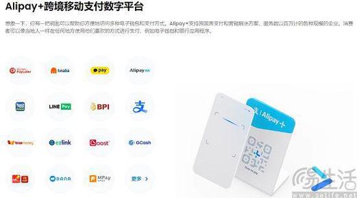 国家推出的支付平台截图