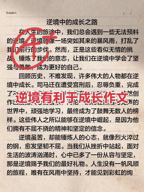 我的逆袭之路的正文图标