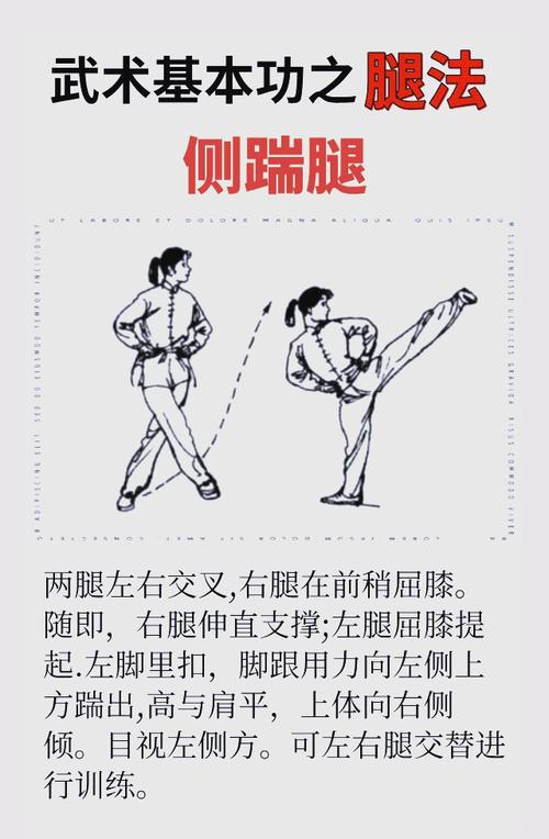 伽罗太华腿法教学视频图标