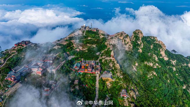 泰山网图标