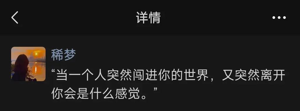 一个人闯入你的世界截图