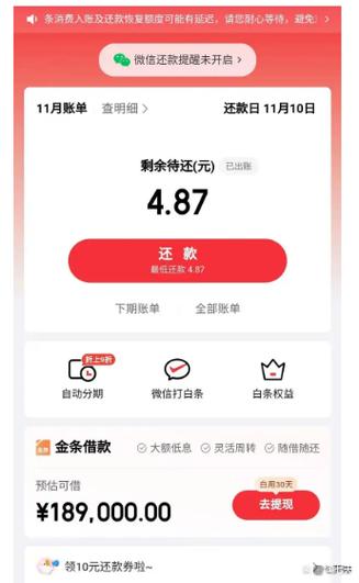 京东显示暂不支持白条支付图标