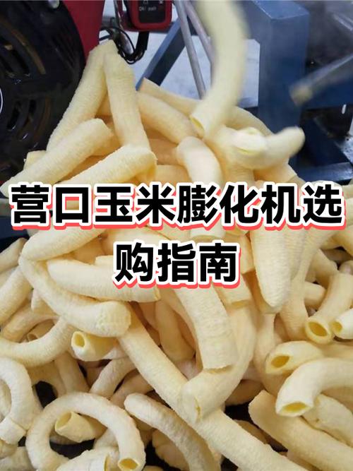 买膨化机十大忠告截图