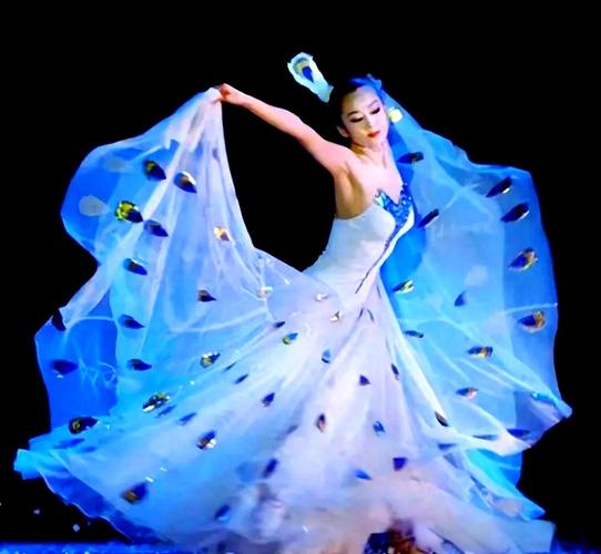 杨丽萍广场舞烟花梦图标