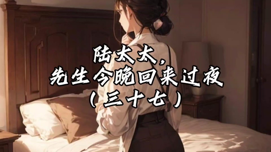 小说回家了陆太太截图