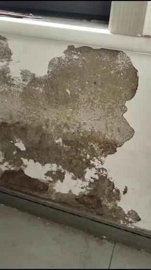 水泥墙面反碱起皮彻底解决方法图标