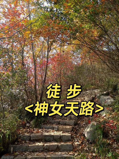 女神之路121关爬山图标