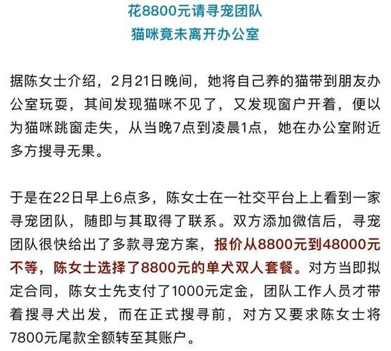 专业找猫团队大概多少钱图标