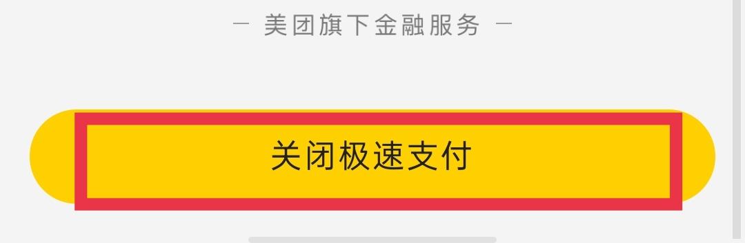 美团极速支付和普通支付区别图标