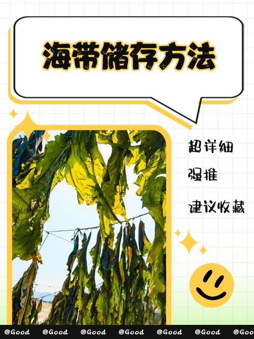 海带怎么贮藏图标