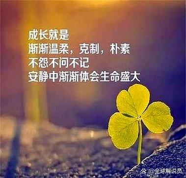 teachfeeling魔改安卓汉化版图标