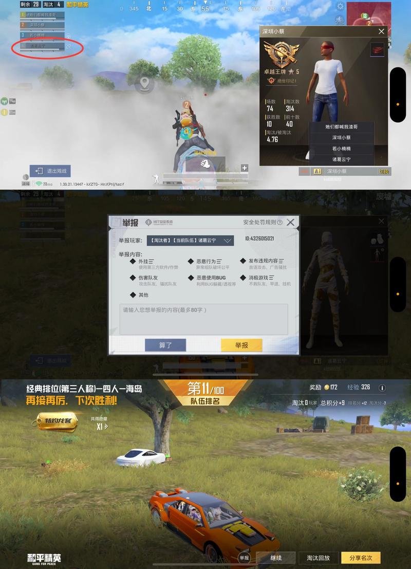 和平精英断网挂图标