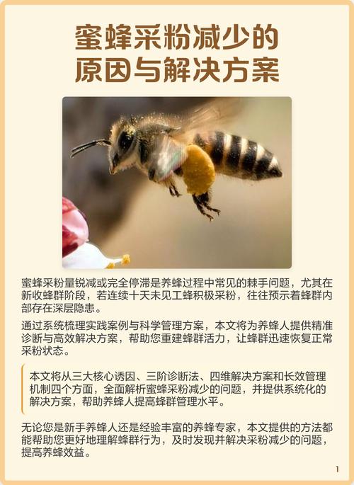 蜜蜂死亡的原因和解决办法图标