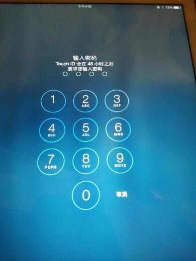 输入ipad密码等了半天图标