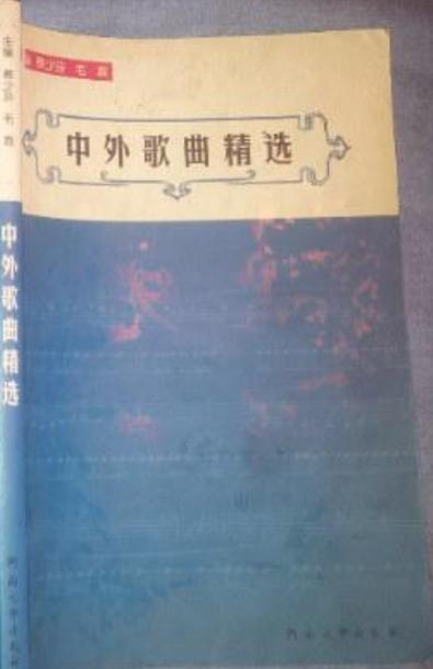nice国内版和国外版图标