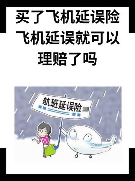 飞机延误险有必要买吗图标