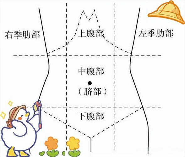 人体右侧疼是什么器官图标