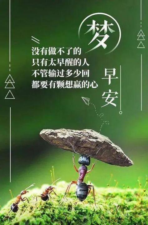 励志短文正能量文章图标