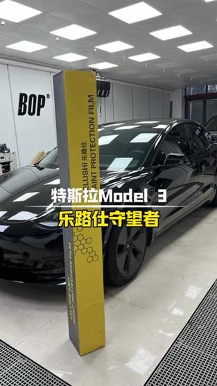 特斯拉开启哨兵模式图标