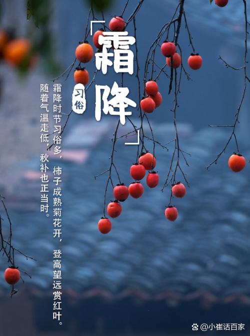 寒露清冷霜染秋截图