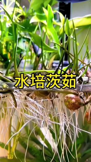 种养小管家截图