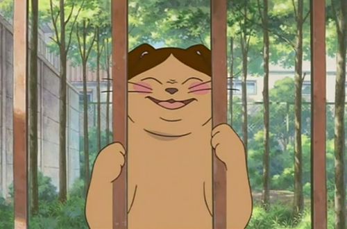 猫的报恩国语迅雷下载图标
