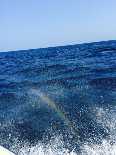 海那么蓝那么
