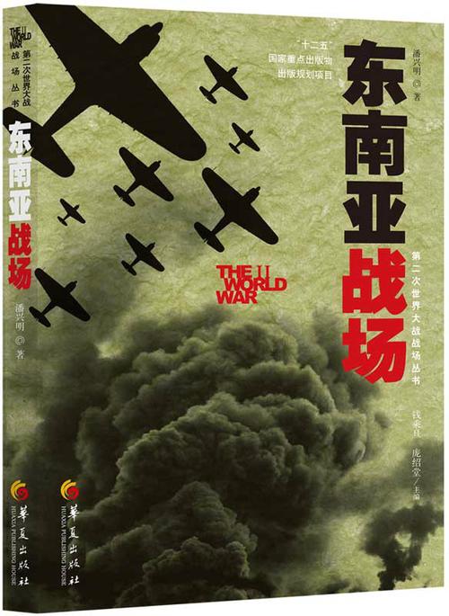 《血战东南亚》国语版图标