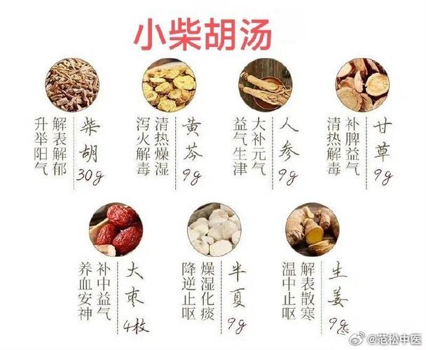 黄芩黄连半夏干姜人参的作用图标