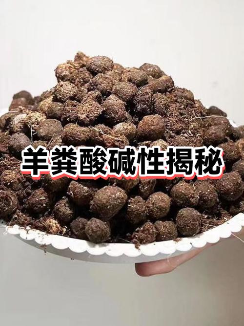 羊吐粪是什么病啊图标