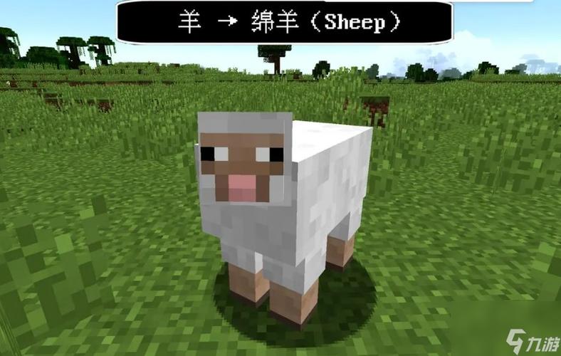 我的世界羊在哪里找图标