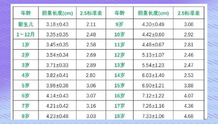 男人多长才算正常尺寸
