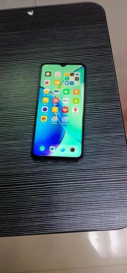 vivos1和VⅰV0Y36图标
