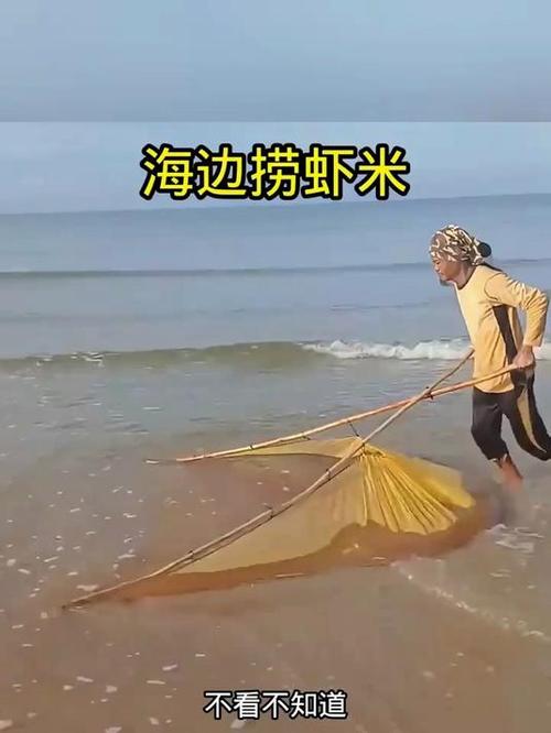 北冥虾米截图